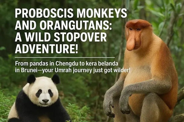 Proboscis Monkeys and Orangutans: A Wild Stopover Adventure!